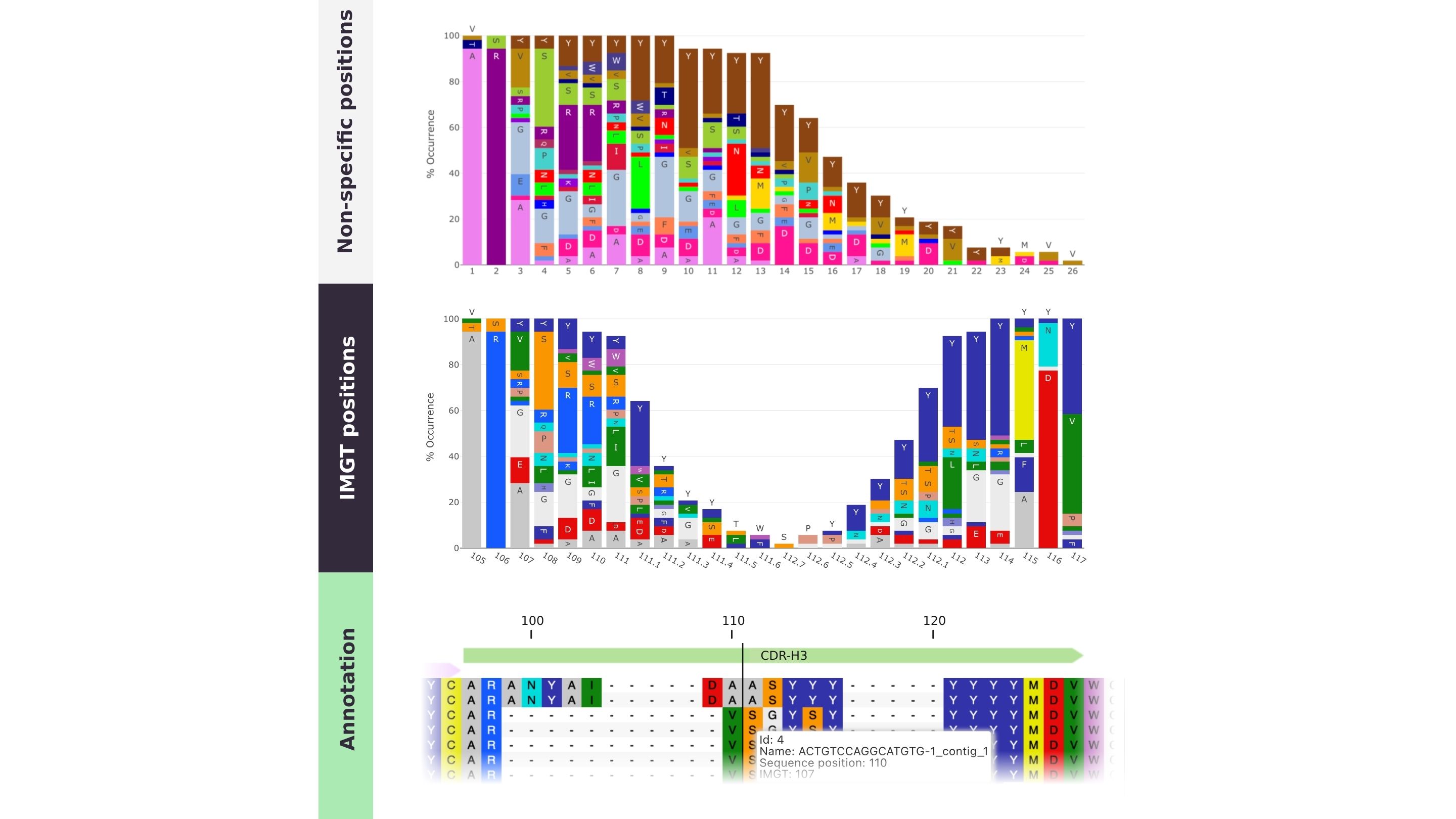 Antibody numbering schemes and CDR definitions